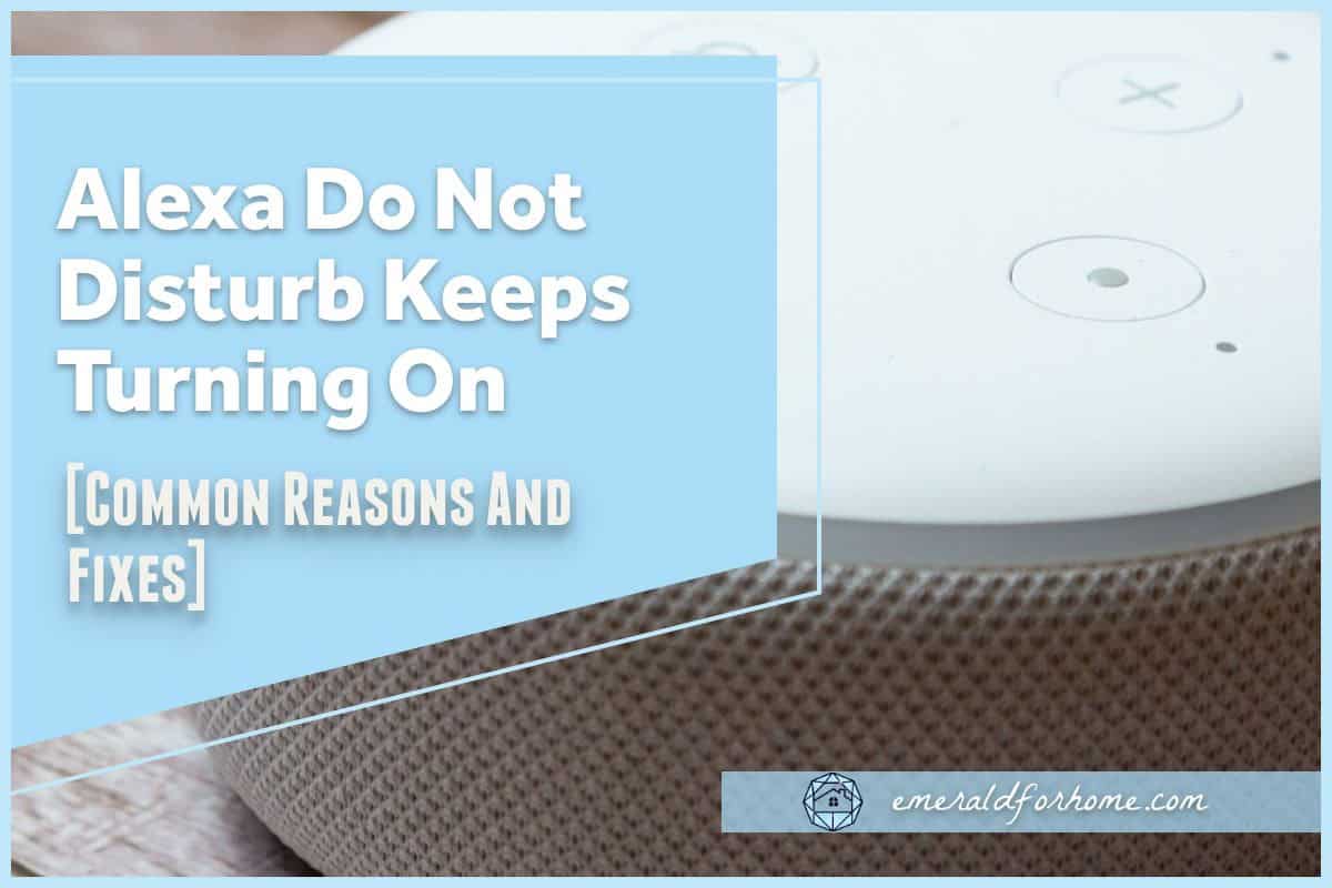 Alexa Do Not Disturb Keeps Turning On [Common Reasons & Fixes] - Rocky ...