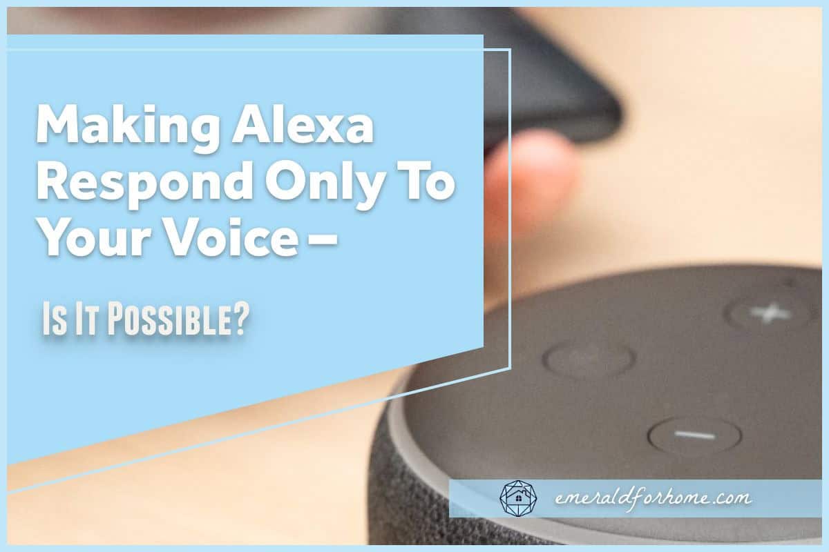 Making Alexa Respond Only To Your Voice – Is It Possible? - Rocky MTN Ruby